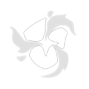 Ruin Drake: Earthguard - Genshin Impact - HoYoWiki