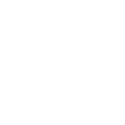Flower-Feather Clan - Genshin Impact - HoYoWiki