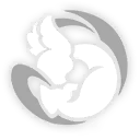 Trailblazer - Remembrance - Honkai: Star Rail - HoYoWiki