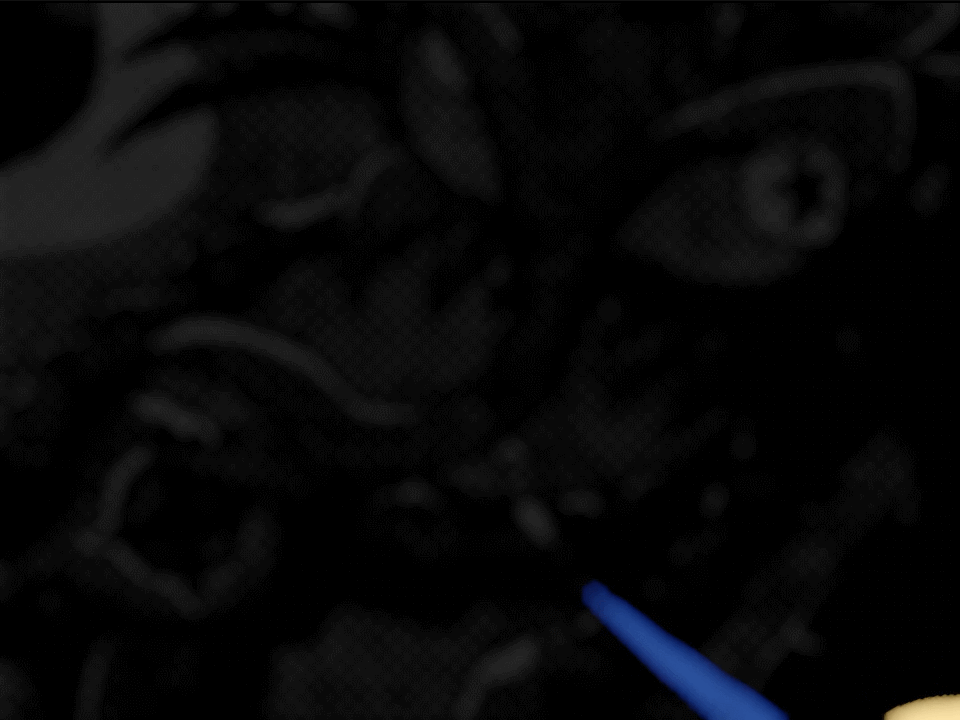 Starlight Knight - Zenless Zone Zero - HoYoWiki